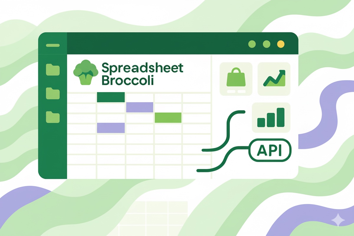 Stripe Transactions Validation - SpreadsheetBroccoli